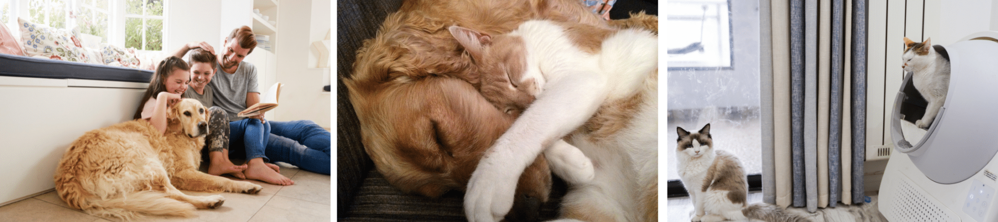 Pet Odor Control Solutions: How to Keep Interiors Fresh and Clean